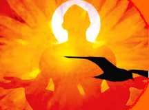 Types of Samadhi in Yoga | ध्यान समाधि के प्रकार | Webdunia Hindi