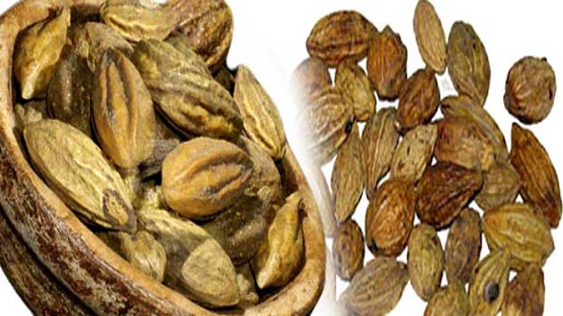 छोटी हरड़ के यह 10 फायदे हैं कमाल के - Amazing Benefit Of Haritaki ...