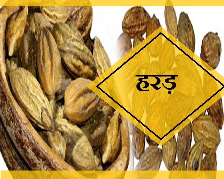 हरड़ : 100 रोगों का नाश करती है यह एक औषधि, इसे नहीं जाना तो आपने कुछ ...