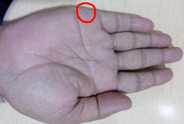 vivah rekha in hand | हथेली में विवाह रेखा की खास 11 बातें, यदि क्रॉस ...