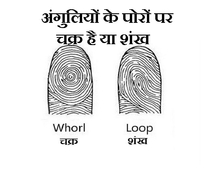 अंगुलियों के पोरों पर बने चक्र से जानिए अपना भविष्य, 16 रोचक जानकारी ...