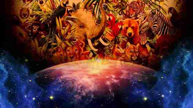 84 Lakh Yoni | 84 लाख योनियों के प्रकार और गतियों को जानकर आप चौंक ...