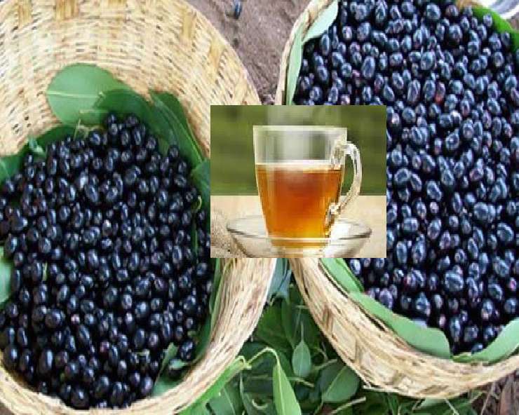 जामुन के पत्तों की चाय देगी सेहत के आश्चर्यजनक लाभ - jamun leaf tea ...