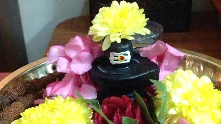 Puja Flower Picking Rules आंघोळ न करता देवाला अर्पण केली जाणारी फुले का तोडतात? - Why were ...