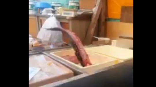 தலை துண்டான பிறகும் துடிக்கும் மீன்; வைரல் வீடியோ - Sliced Tuna fish ...