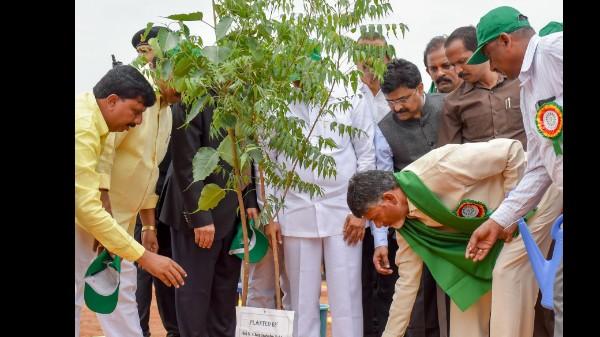 ఏపీ... ఆకుపచ్చగా... ఏపీ వనం-మనం కోసం... - vanam manam, chandrababu ...