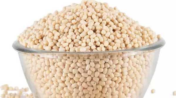 మినప వడియాలు తింటున్నారా? - Incredible Health Benefits of Urad Dal ...