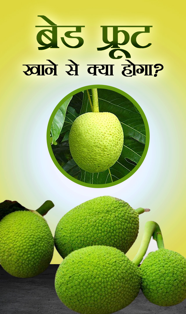 ब्रेड फ्रूट खाने से क्या होगा?