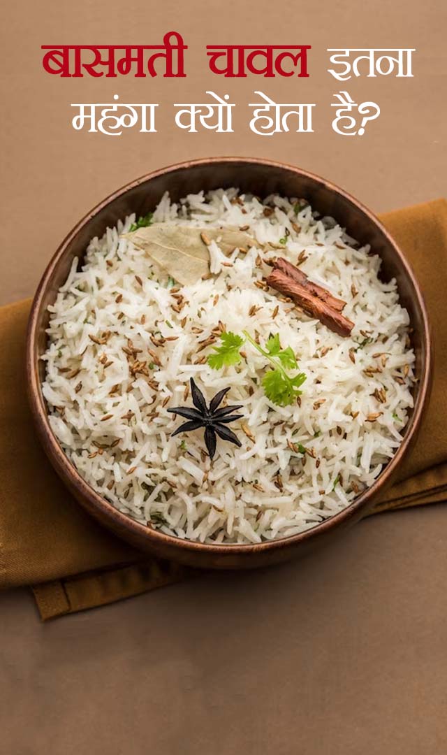 बासमती चावल इतना महंगा क्यों होता है?