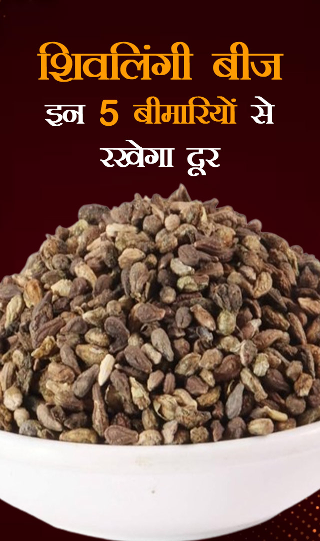 शिवलिंगी बीज इन 5 बीमारियों से रखेगा दूर