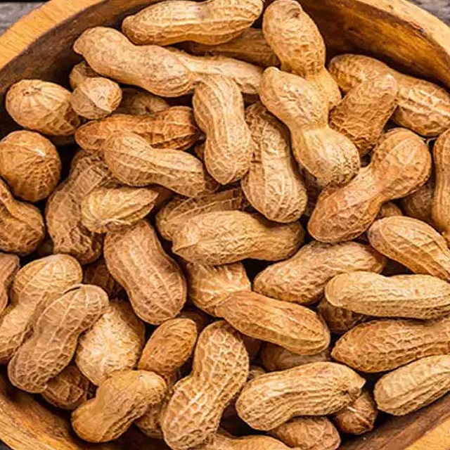 भुईमूग खा तारुण्य टिकवा Moongfali Benefits